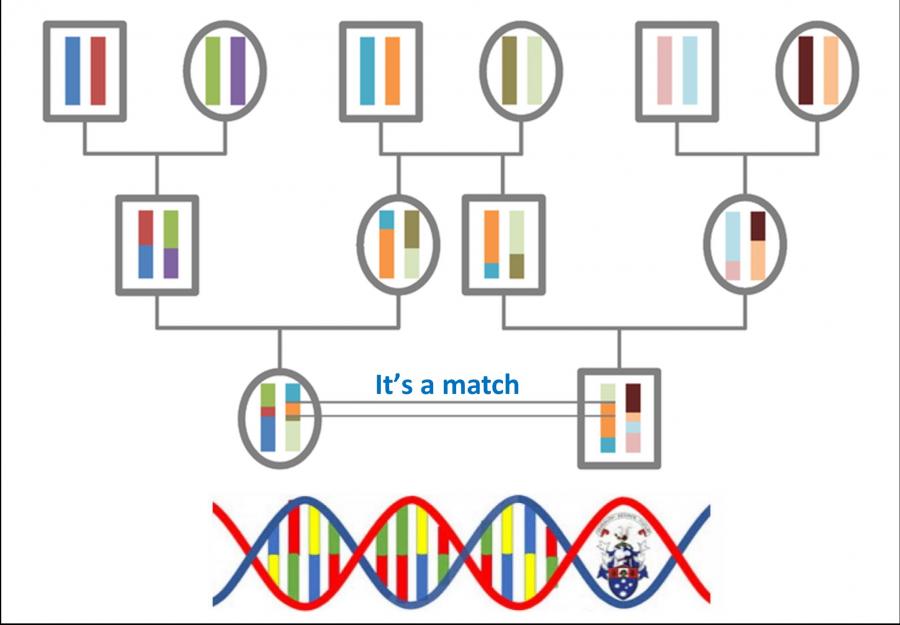 Genealogical Society of Victoria
